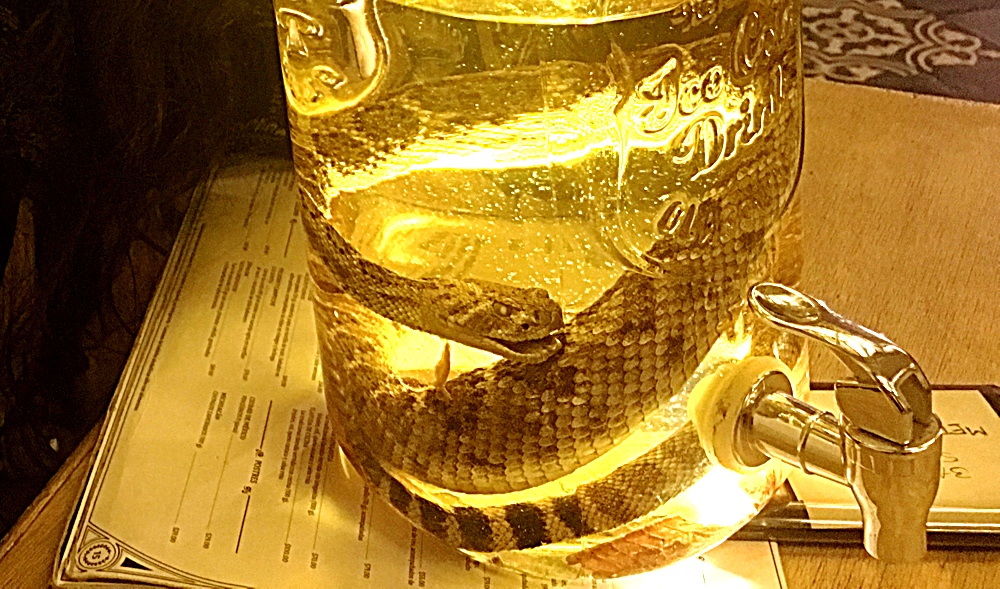 Drinking Rattlesnake Venom